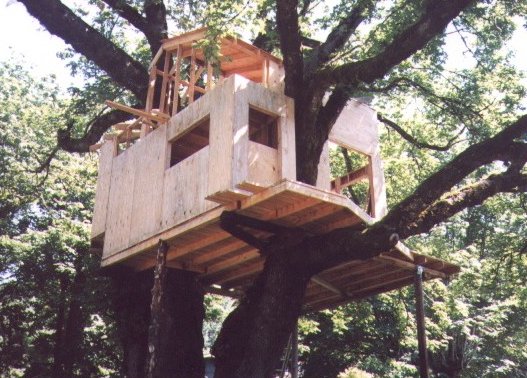 The Treehouse Guide - USA treehouse list